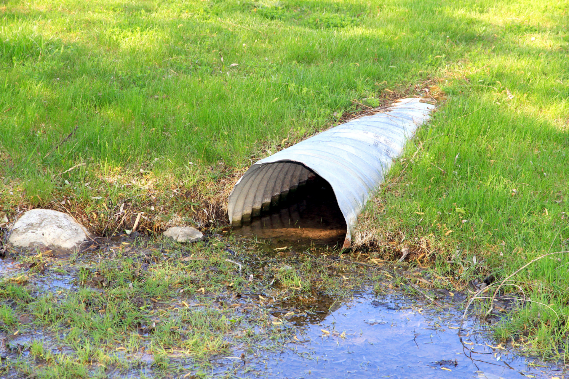 Groundwater Pollution Quotes